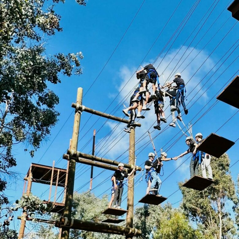 Programs – www.tvia.org