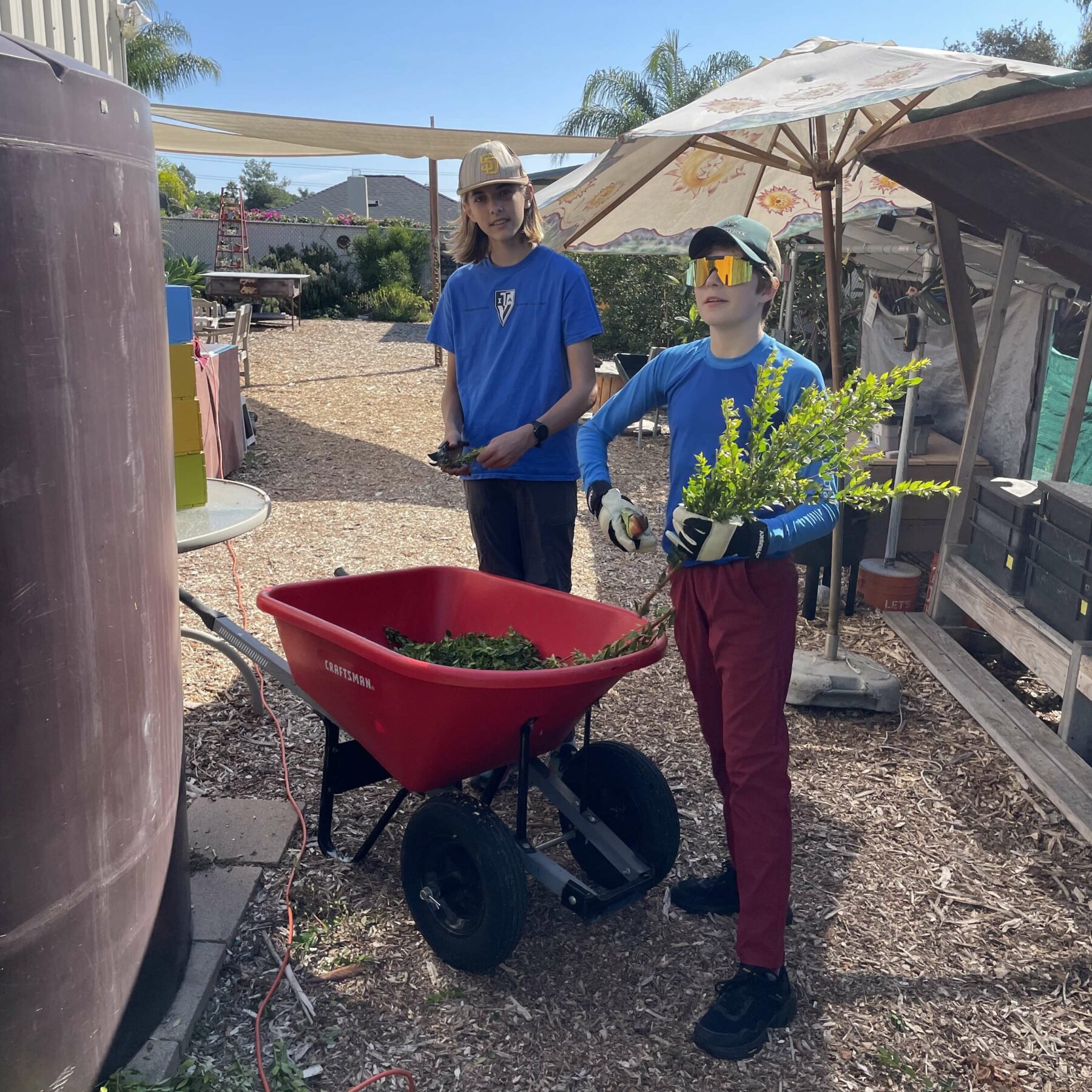 About – www.tvia.org