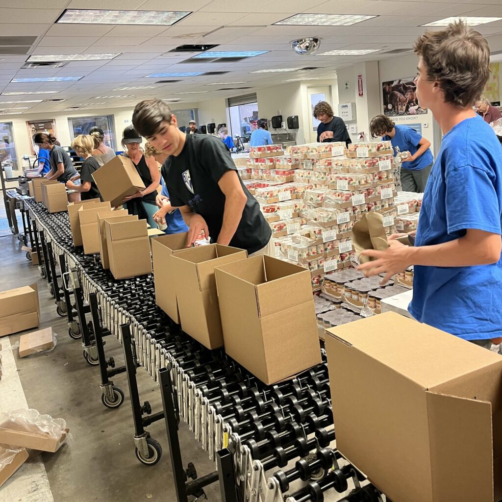 Chapters – www.tvia.org