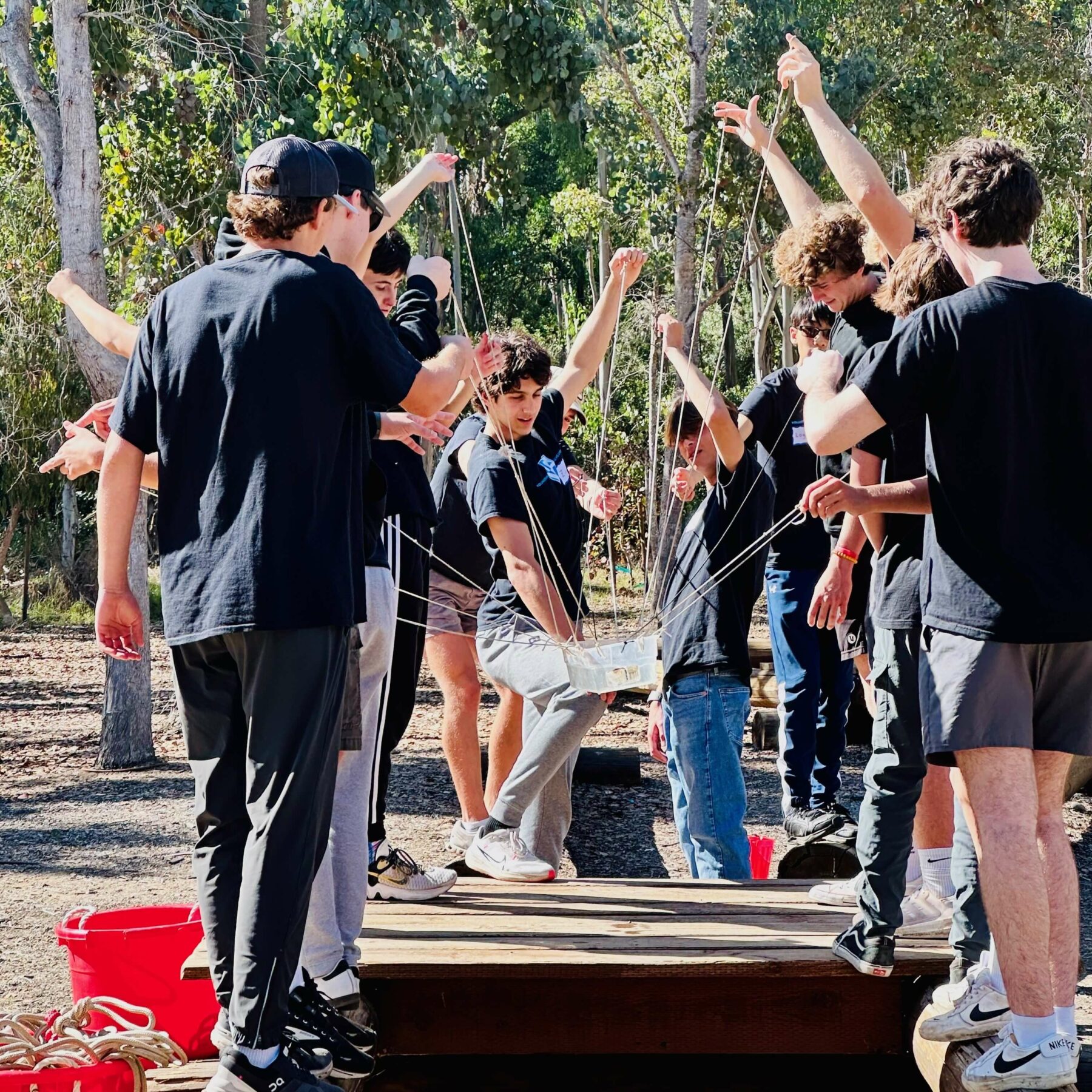 Programs – www.tvia.org